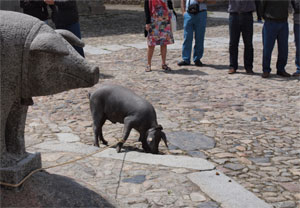 El Marrano de San Antón